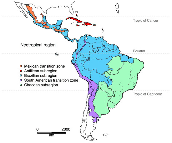 Systematics and Conservation of Neotropical Amphibians and Reptiles
