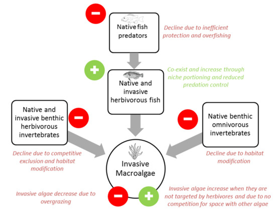 Diversity | Free Full-Text | Long Term Interactions of Native and ...