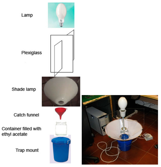 Light-Emitting Diodes (LED): A Promising Street Light System to Reduce ...