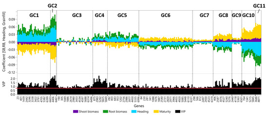 Rice Plant–Soil Microbiome Interactions Driven by Root and Shoot Biomass