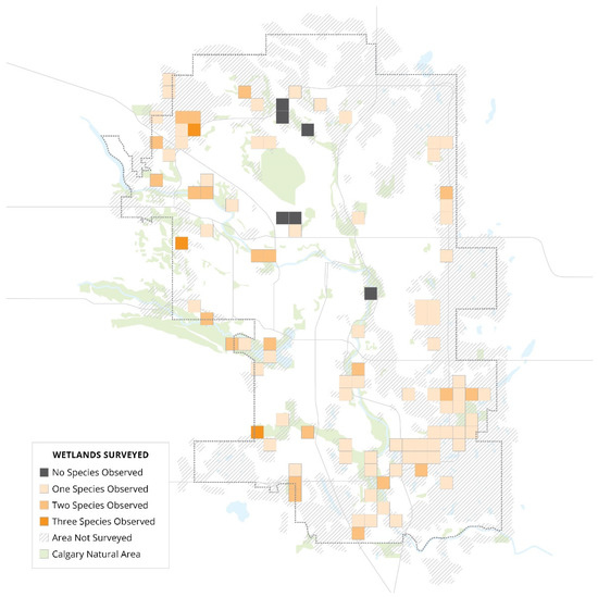 Advancing Amphibian Conservation through Citizen Science in Urban ...