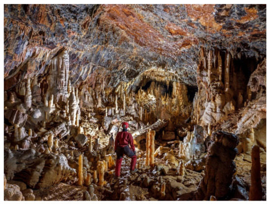 Postojna-Planina Cave System in Slovenia, a Hotspot of Subterranean ...