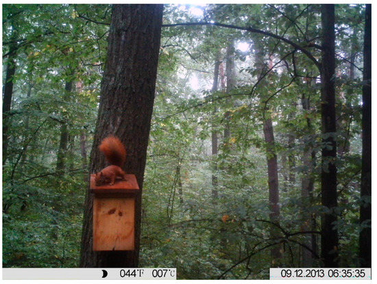 Target Species and Other Residents—An Experiment with Nest Boxes for ...