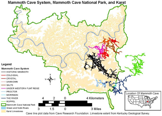 Diversity | Free Full-Text | Mammoth Cave: A Hotspot of Subterranean ...