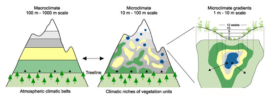 Why Is the Alpine Flora Comparatively Robust against Climatic Warming?