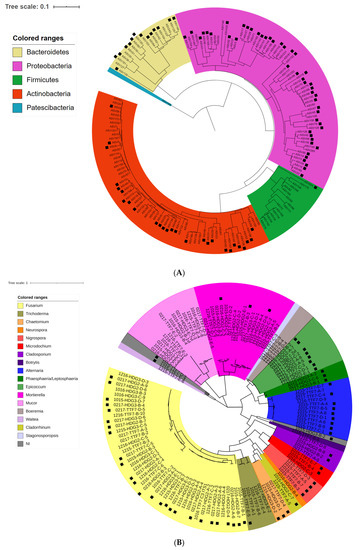 Assessing the Cultivability of Bacteria and Fungi from Arable Crop ...