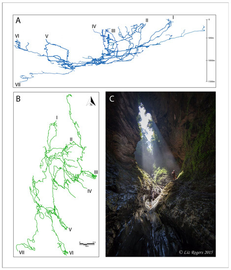 Diversity | Special Issue : Hotspots of Subterranean Biodiversity