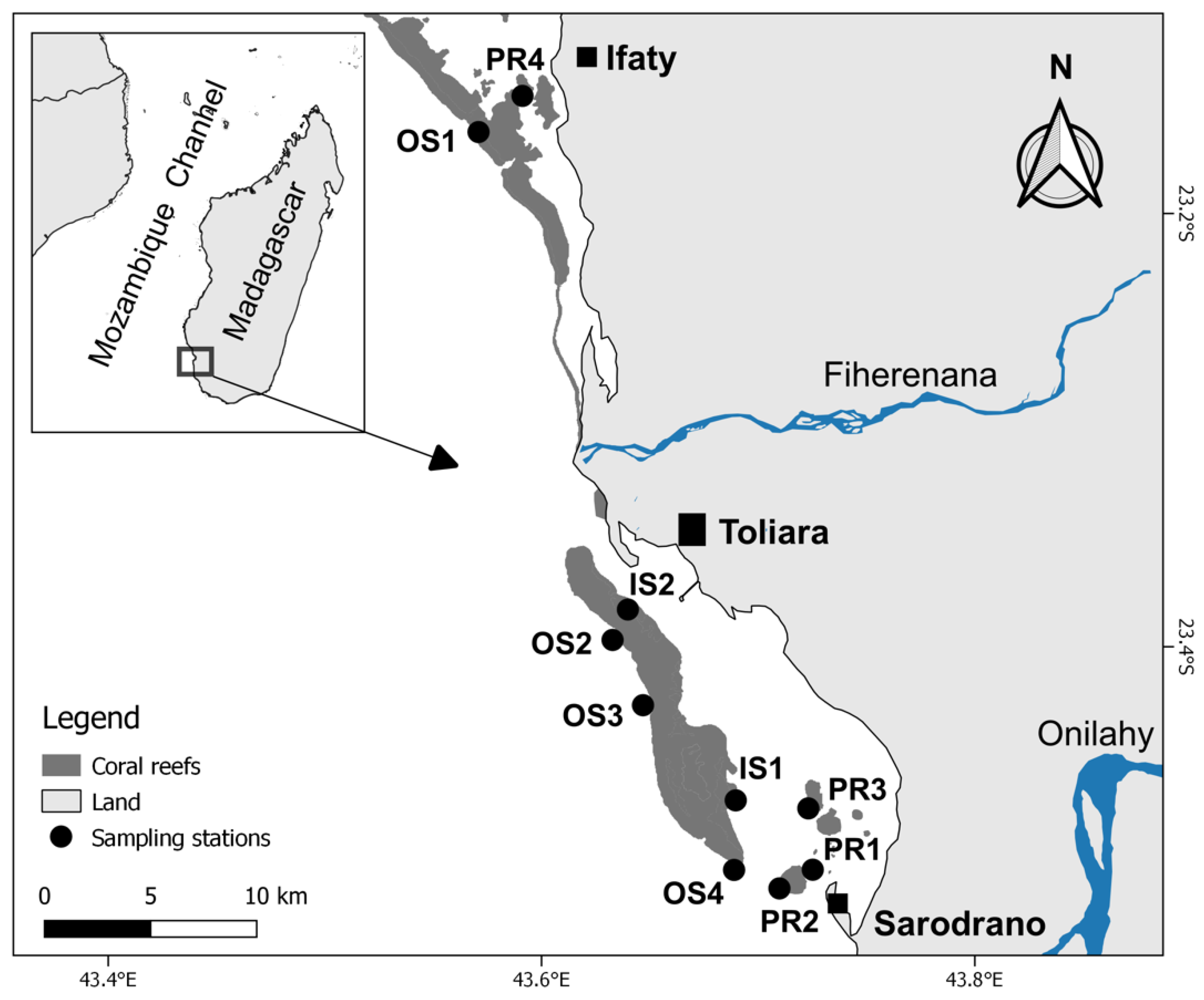 Spatial Patterns of Coral Community Structure in the Toliara Region of ...