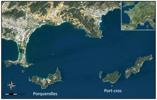 Recent Invaders in Small Mediterranean Islands: Wild Boars Impact ...