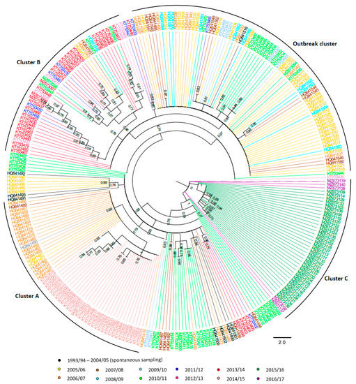 Diversity | Free Full-Text | Evolution of Beak and Feather Disease ...