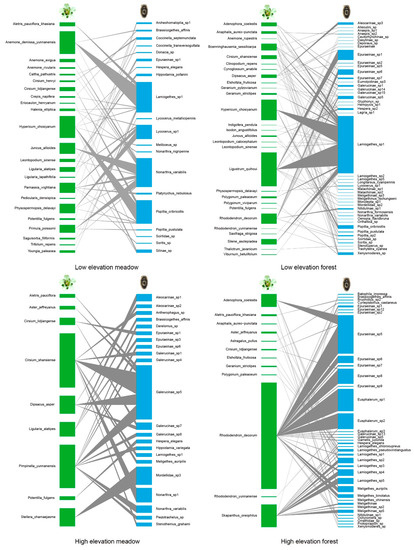 Diversity of Flower Visiting Beetles at Higher Elevations on the Yulong ...