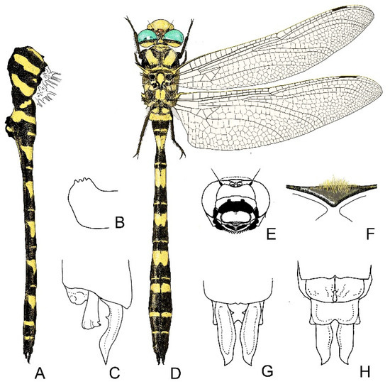 Diversity | Special Issue : Diversity, Ecology and Evolution of Odonata