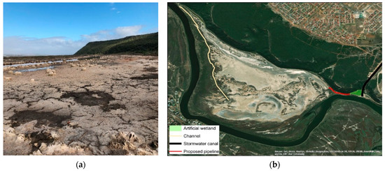 Salt Marsh Restoration for the Provision of Multiple Ecosystem Services