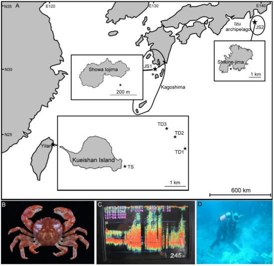 Population Genetic Differentiation on the Hydrothermal Vent Crabs ...