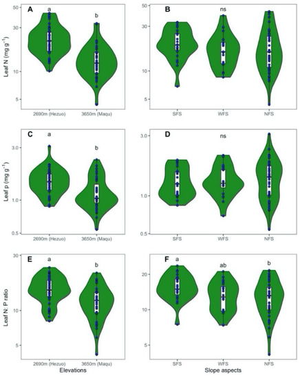 Linking Leaf N:P Stoichiometry to Species Richness and Composition along a Slope Aspect Gradient ...
