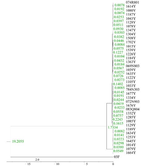 Population Genetic Structure and Diversity of Metaphire remanens ...