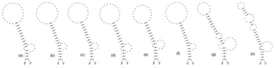 Taxonomic Discussion on Cyanobacterial Systematics at Family Level ...
