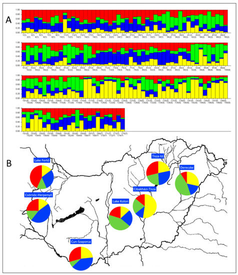 Genetic Structure and Diversity of Native Tench (Tinca tinca L. 1758 ...
