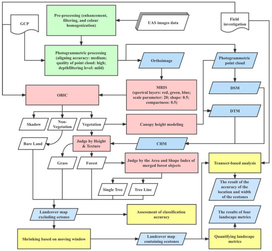 Diversity | Free Full-Text | Detection and Quantification of Forest ...