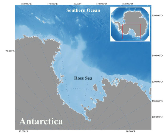 Is It the Same Every Summer for the Euphausiids of the Ross Sea?
