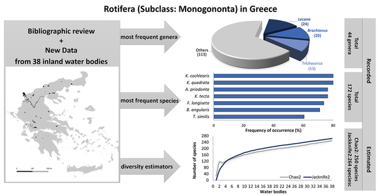 Diversity | Free Full-Text | Diversity of Rotifera (Subclass ...