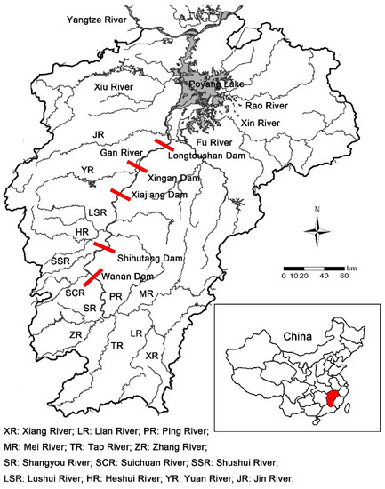 Dam Construction Impacts Fish Biodiversity in a Subtropical River ...