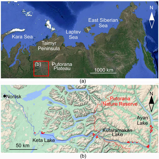 Assemblages of Meiobenthic and Planktonic Microcrustaceans (Cladocera ...