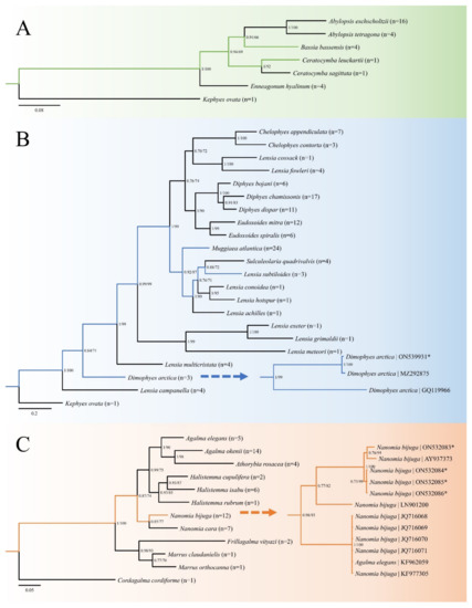 Eight New Records of Siphonophores (Cnidaria: Hydrozoa) in Korean Waters
