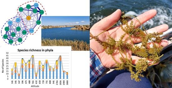 Diversity | Free Full-Text | Microalgae Indicators of Charophyte ...