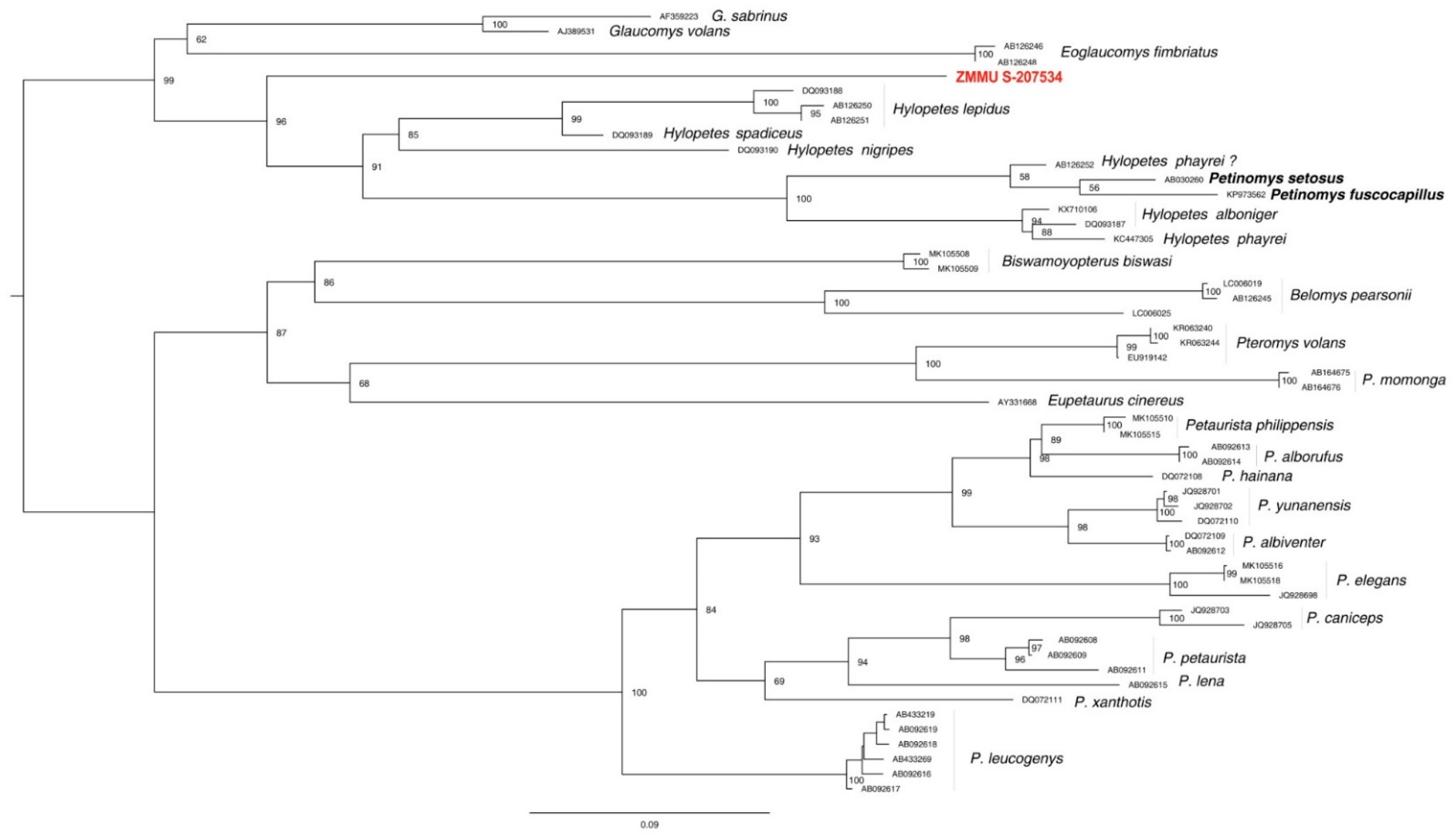 Uncertainties in Systematics of Flying Squirrels (Pteromyini, Rodentia ...