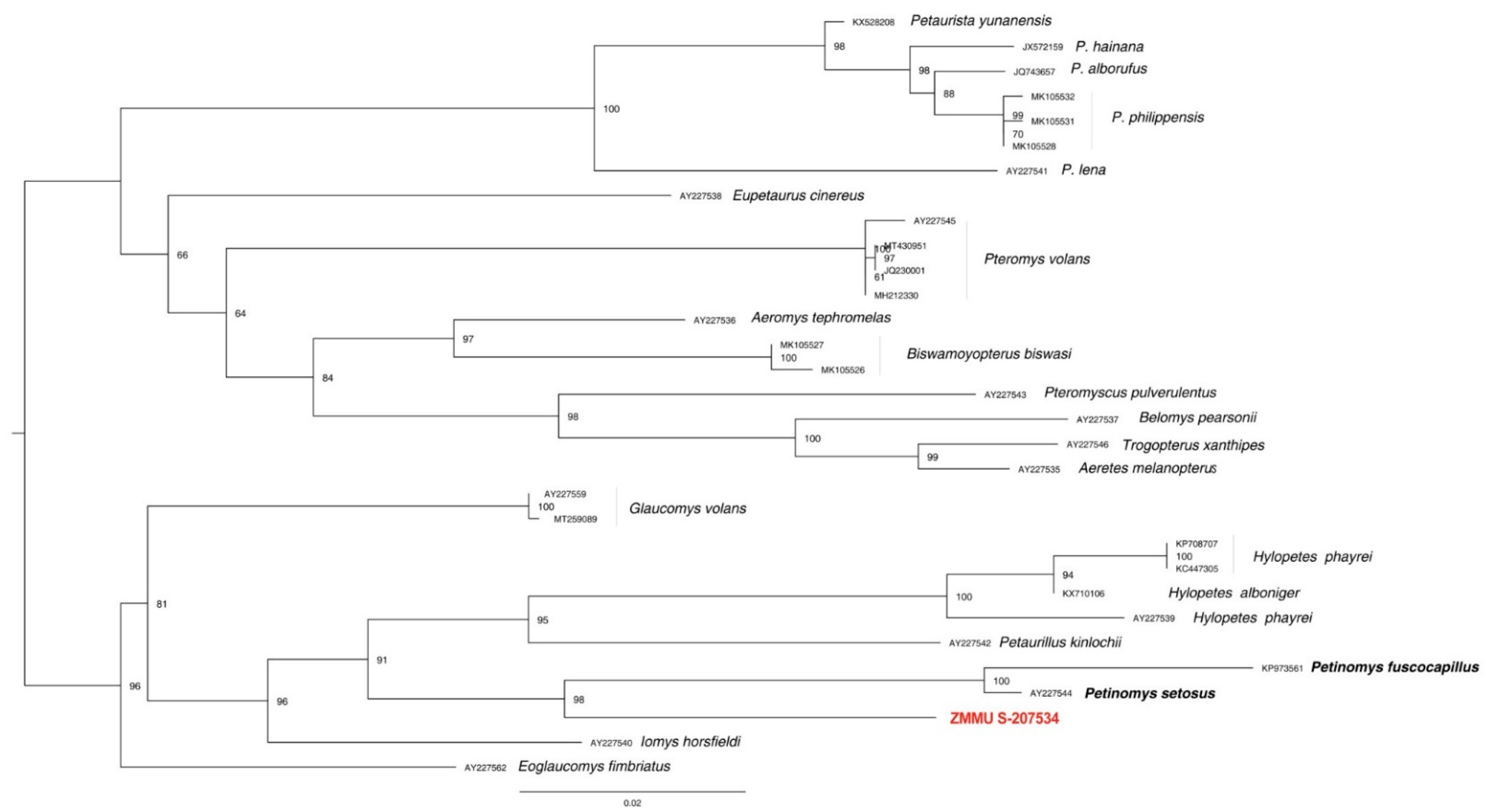 Uncertainties in Systematics of Flying Squirrels (Pteromyini, Rodentia ...