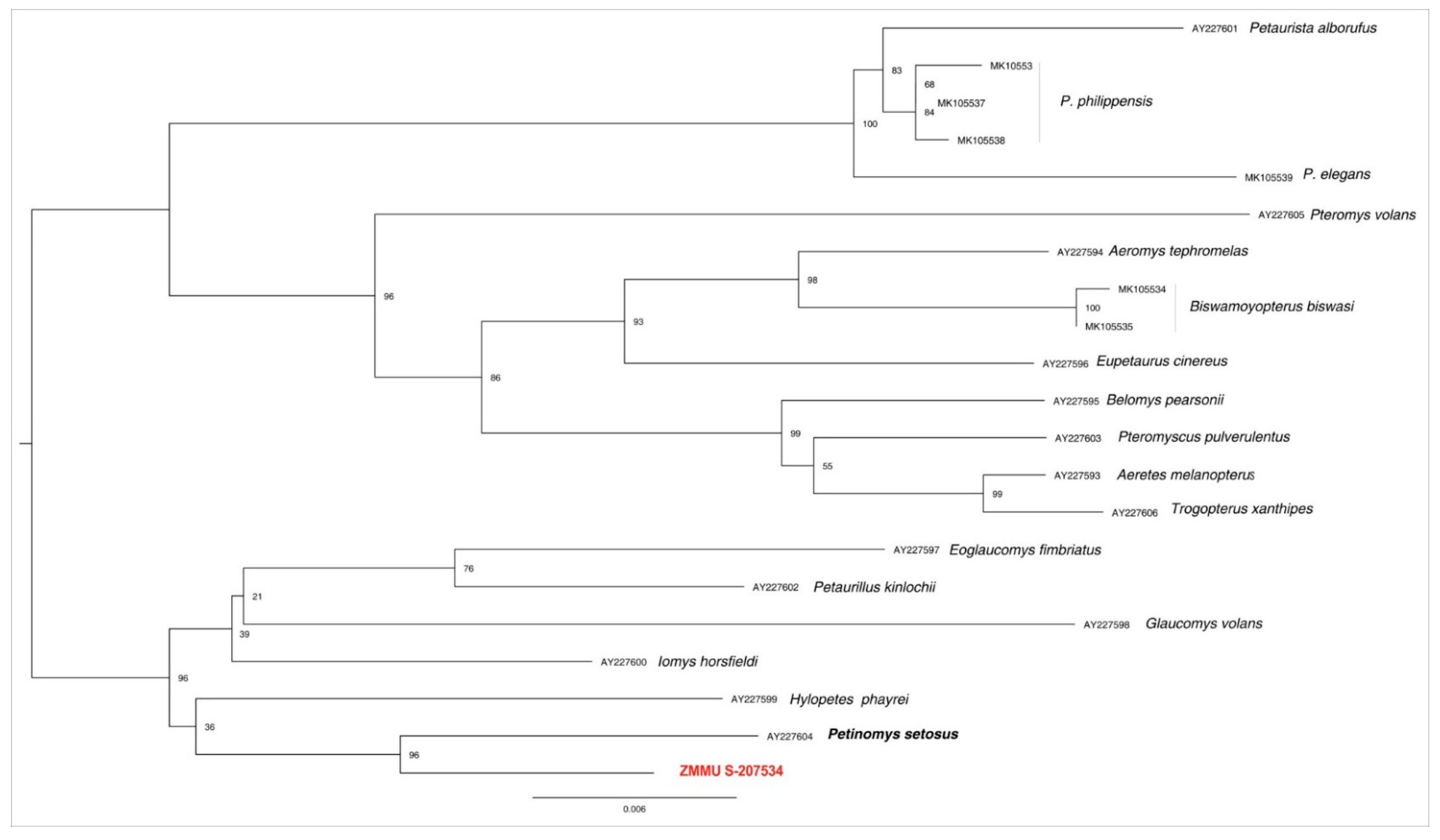 Uncertainties in Systematics of Flying Squirrels (Pteromyini, Rodentia ...