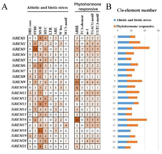 Genome-Wide Characterization of Remorin Genes in Terms of Their ...