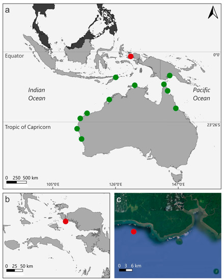 A New Northernmost Distribution Record of the Reef Coral Duncanopsammia ...