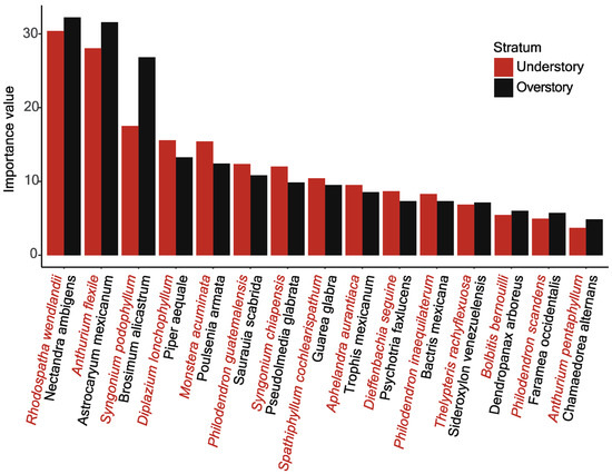 The Herbaceous Understory Plant Community in the Context of the ...