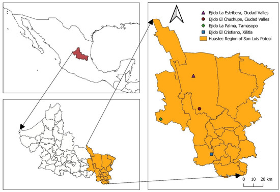 Conservation of Biocultural Diversity in the Huasteca Potosina Region ...