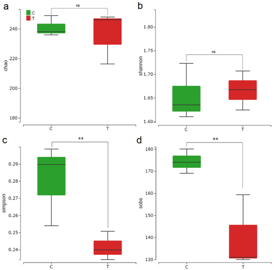 Funneliformis mosseae Inoculation Enhances Cucurbita pepo L. Plant ...