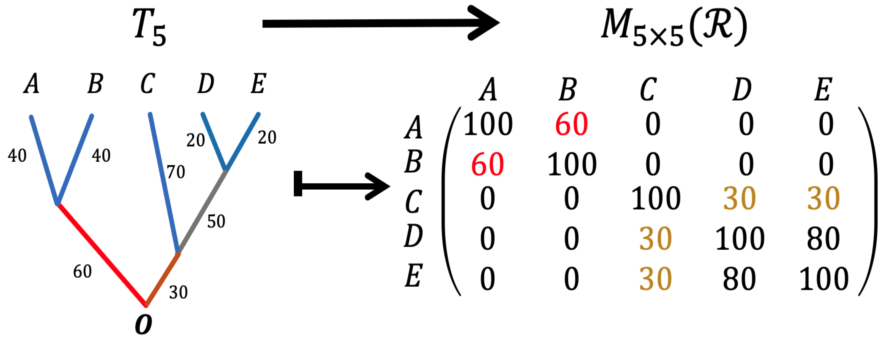 Phylogenetic Tree Of Animals With Traits