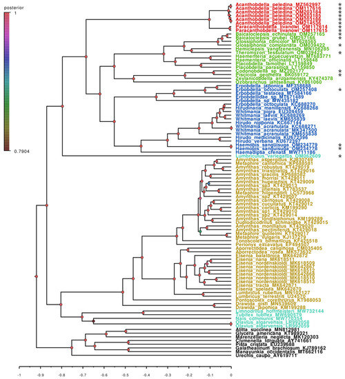Diversity | Free Full-Text | Genome-Based Taxa Delimitation (GBTD): A ...