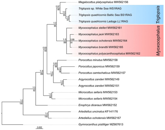 Diversity | Free Full-Text | Evaluation of Differences between the ...