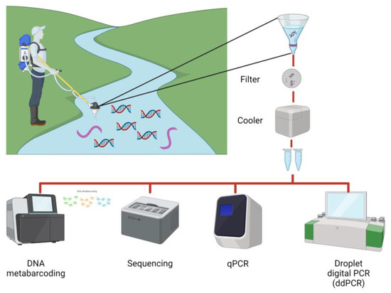 Detection of Fish Pathogens in Freshwater Aquaculture Using eDNA Methods