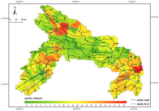 Spatial Distribution Pattern and Risk Assessment of Invasive Alien ...