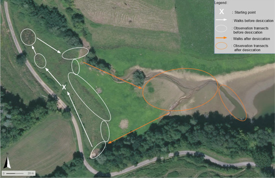 Freshwater Reservoir, Ecological Traps and Source-Sink Dynamics