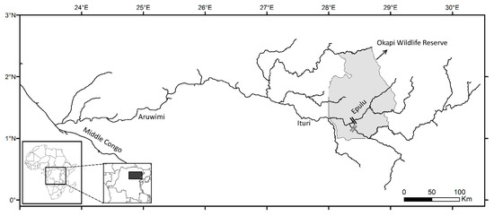 Diversity | Free Full-Text | Disentangling the Diversity of the ...