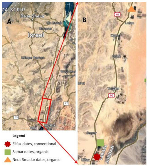 Diversity | Free Full-Text | The Contribution of Desert-Dwelling Bats ...