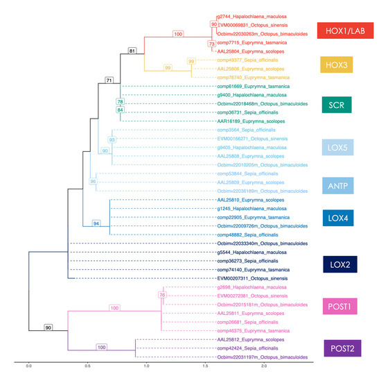 High-Density Genetic Linkage Map of the Southern Blue-ringed Octopus ...