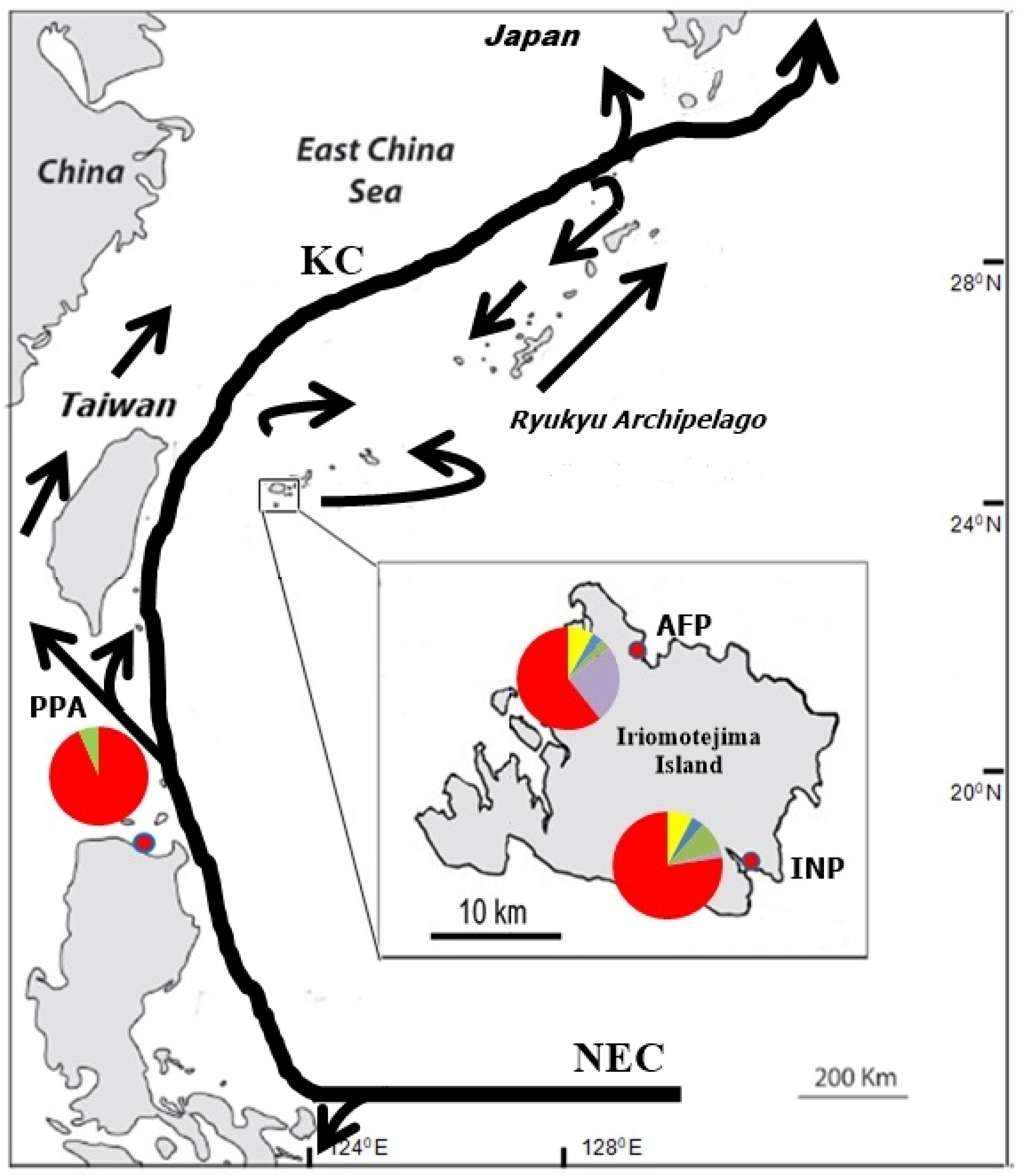 Cryptic Lineage and Genetic Structure of Acanthopagrus pacificus ...