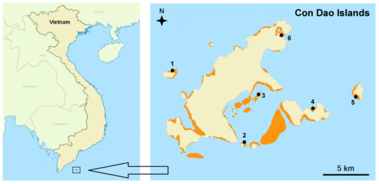 Coral Oasis on Con Dao Islands: A Potential Refuge of Healthy Corals in ...