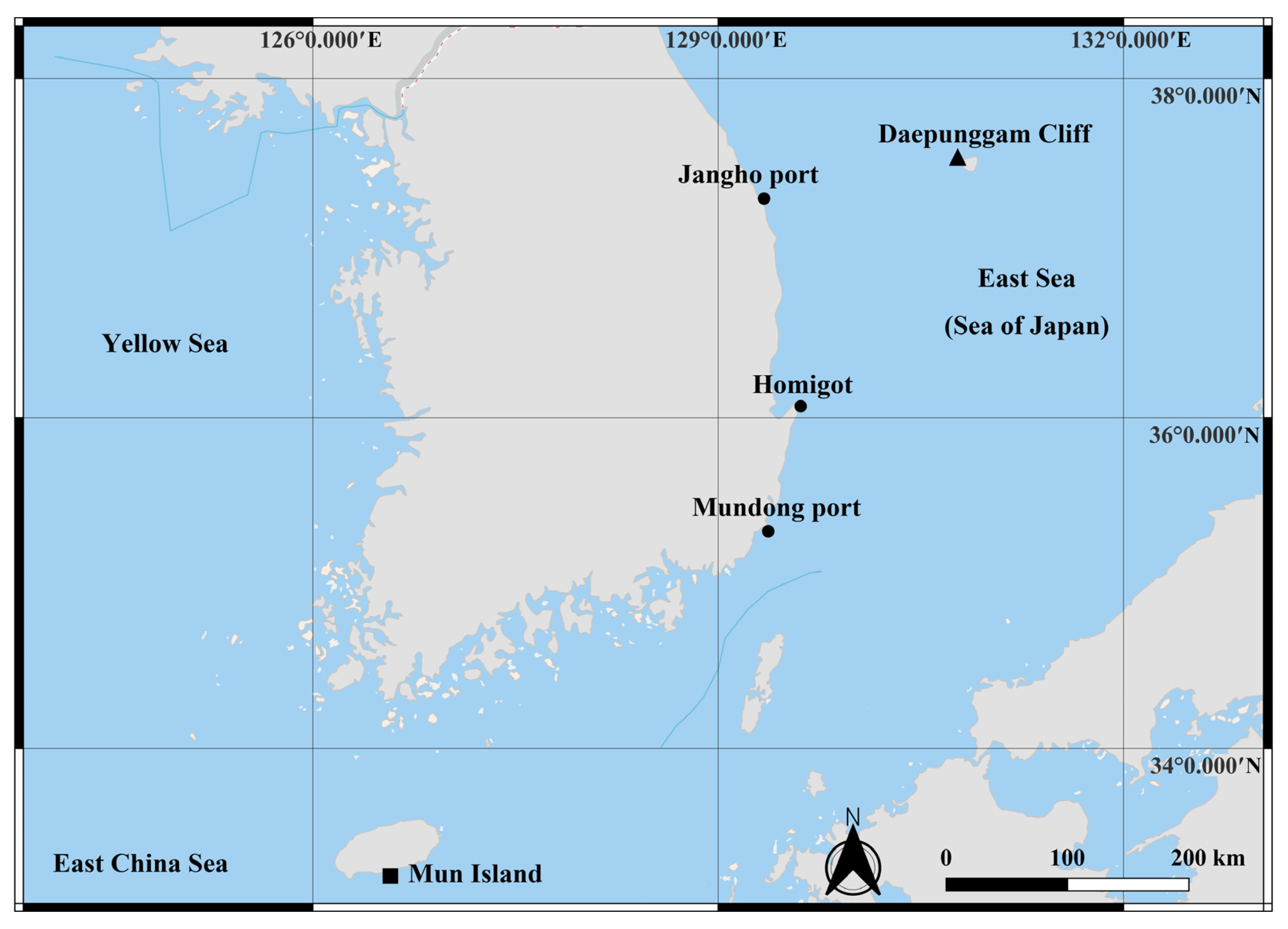 Diversity | Free Full-Text | Two New Uromunna Species (Isopoda ...