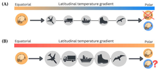 How Might Climate Change Affect Adaptive Responses of Polar Arthropods?